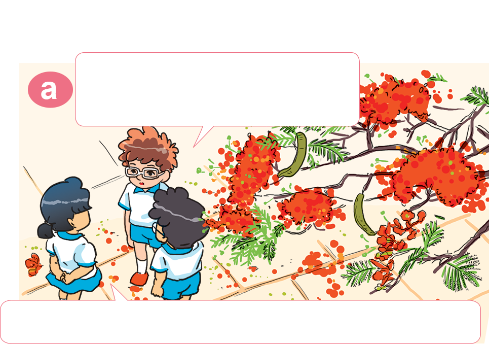 Where are you going this summer | Samokatschool.ru